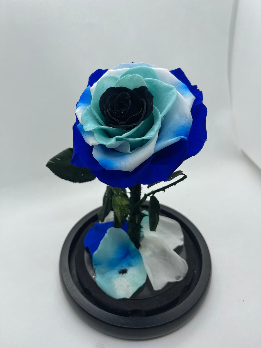 Evil Eye Forever Preserved Rose | Rose Bears Australia