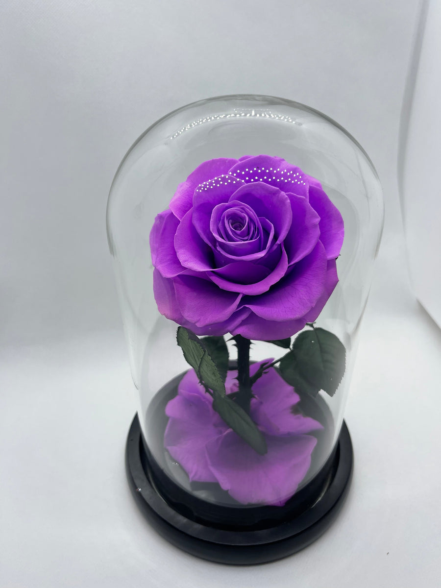 Purple Forever Preserved Rose | Rose Bears Australia